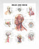Laminated Head and Neck Anatomy Poster | ClinicalPosters