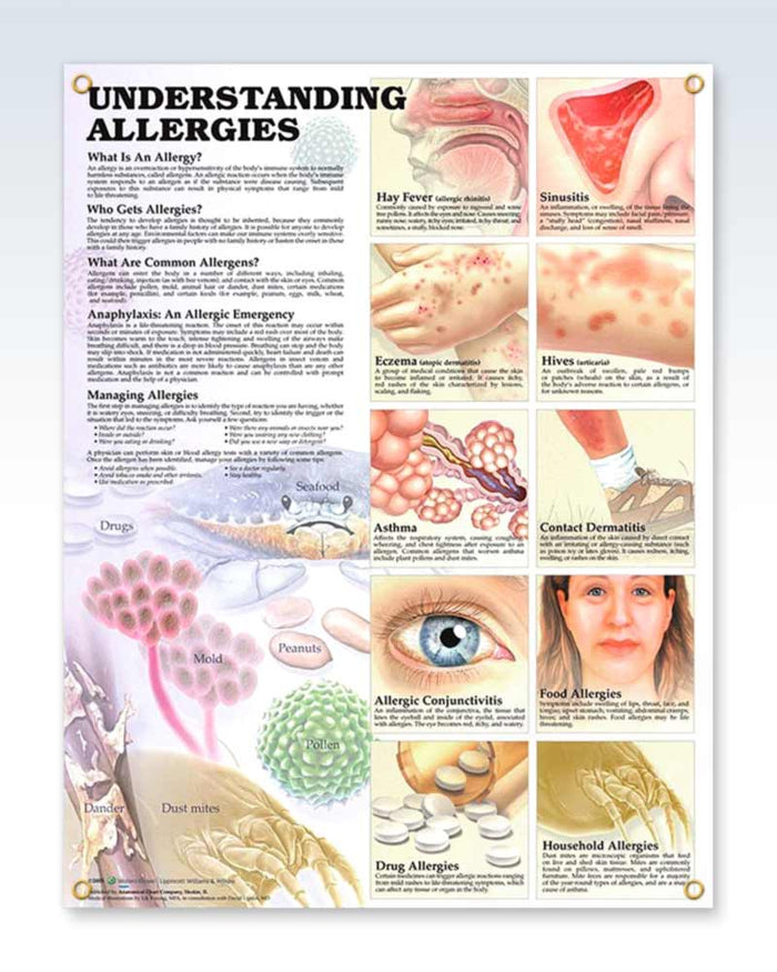 Dermatologists Medical Anatomy Posters | ClinicalPosters