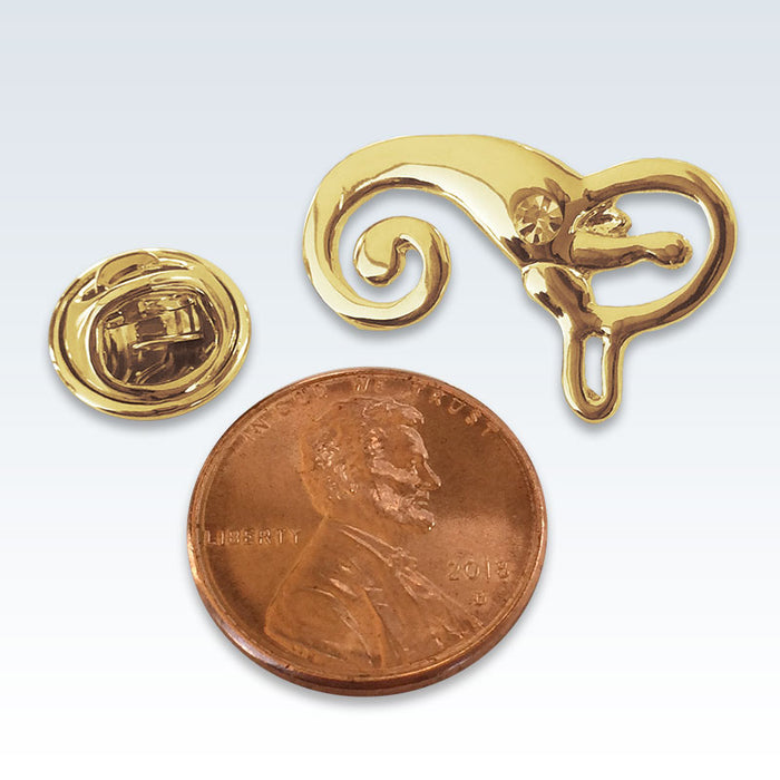 Audiologists Inner Ear Anatomy Lapel Pin | ClinicalPosters