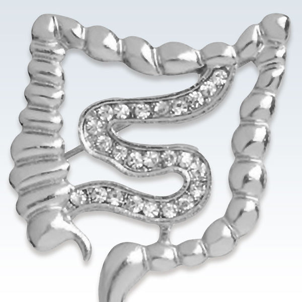Gastroenterologist Intestines Anatomy Lapel Pin | ClinicalPosters