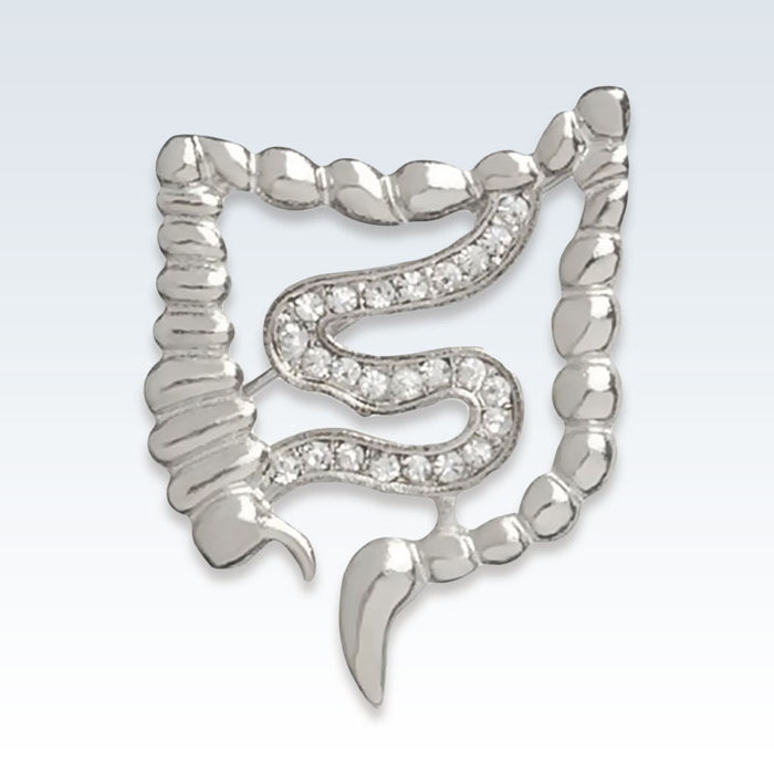 Gastroenterologist Intestines Anatomy Lapel Pin | ClinicalPosters