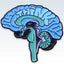 Neurologist Blue Enameled Brain Anatomy Lapel Pin | ClinicalPosters