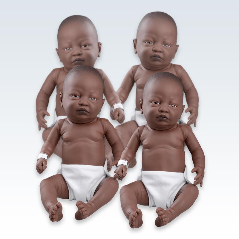 Baby-Care Infant Anatomical Model – clinicalposters.com