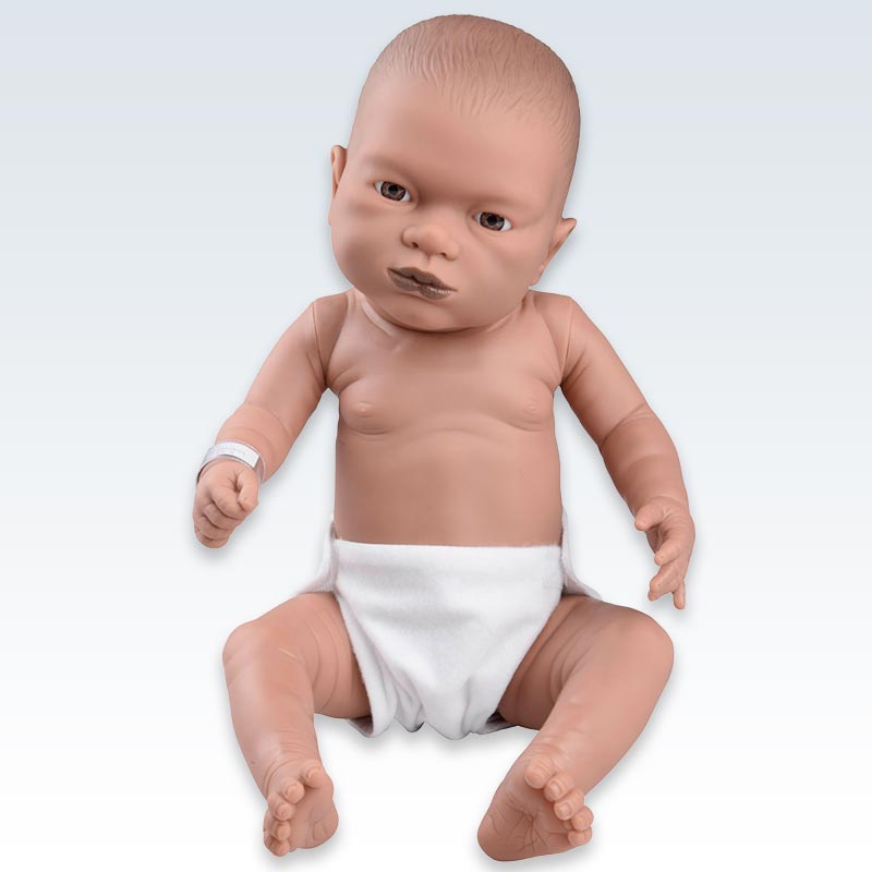 Baby-Care Infant Anatomical Model | ClinicalPosters