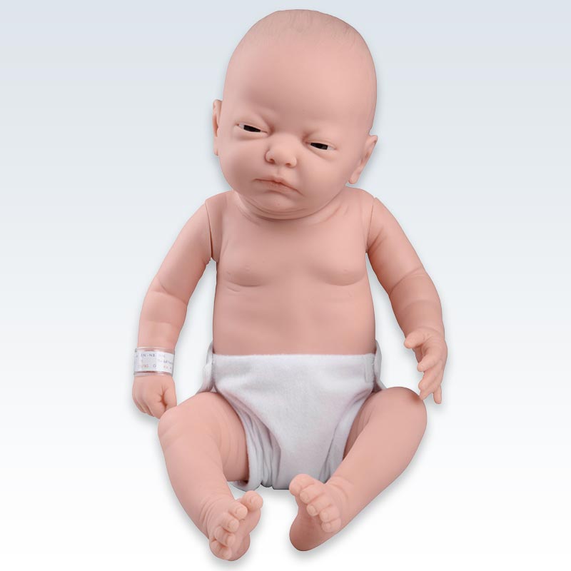 Baby-Care Infant Anatomical Model | ClinicalPosters