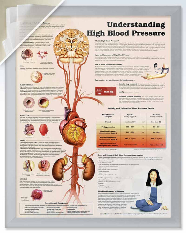 Understanding High Blood Pressure Discount Poster | ClinicalPosters
