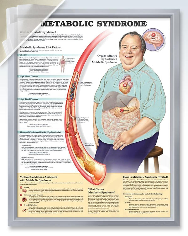 Discount Metabolic Syndrome Poster | ClinicalPosters