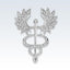 Big Wing Caduceus Silver and Crystal Lapel Pin | ClinicalPosters