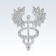 Big Wing Caduceus Silver and Crystal Lapel Pin | ClinicalPosters