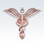 Doctors Winged Caduceus Rose Gold Lapel Pin | ClinicalPins