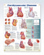 Cardiovascular Disease Exam Room Anatomy Posters | ClinicalPosters