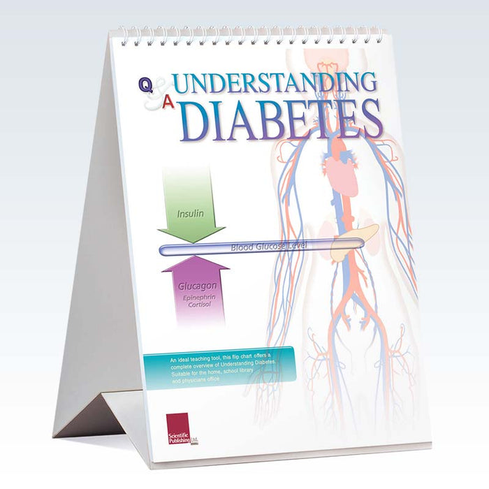 Understanding Diabetes Flip Chart 11x14 | ClinicalPosters