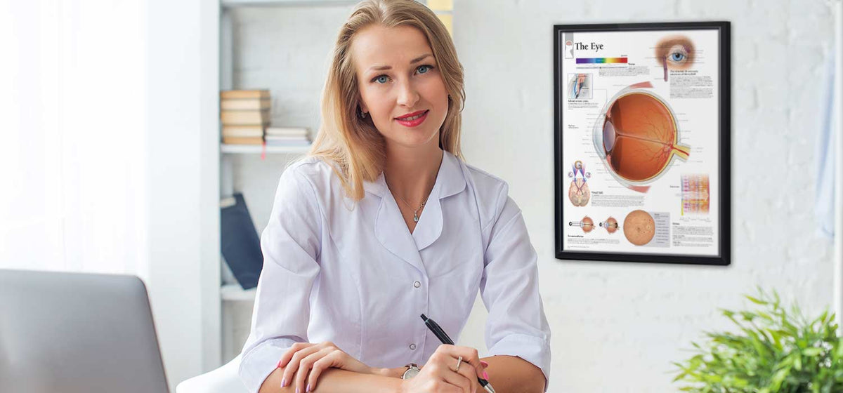 The Eye Exam-Room Human Anatomy Poster | ClinicalPosters
