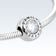 Family Forever Sterling Silver Zirconia Charm | ClinicalPosters