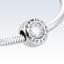 Family Forever Sterling Silver Zirconia Charm | ClinicalPosters