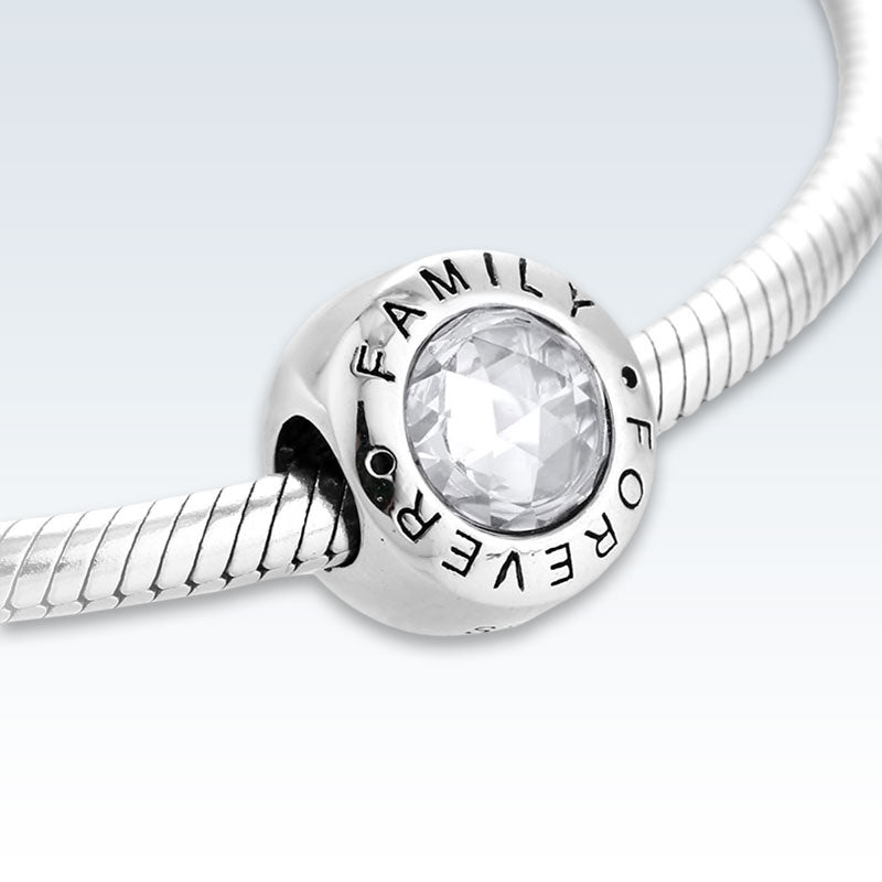 Family Forever Sterling Silver Zirconia Charm | ClinicalPosters