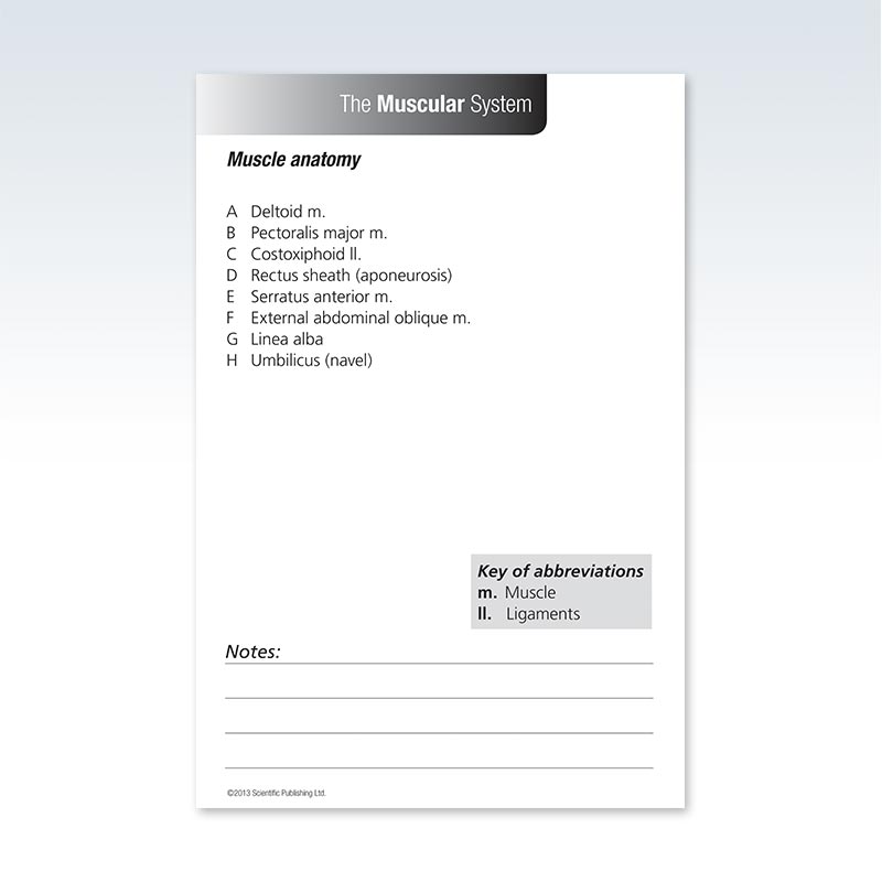 Human Anatomy Flash Cards | ClinicalPosters