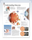 Understanding Glaucoma Exam-Room Anatomy Poster | ClinicalPosters