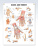 Laminated Hand and Wrist Human Anatomy Poster | ClinicalPosters