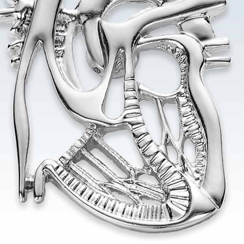 Cardiologist Dissected Heart Anatomy Lapel Pin | ClinicalPosters