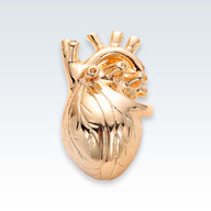 Cardiologist Gold-Tone Heart Anatomy Lapel Pin | ClinicalPosters