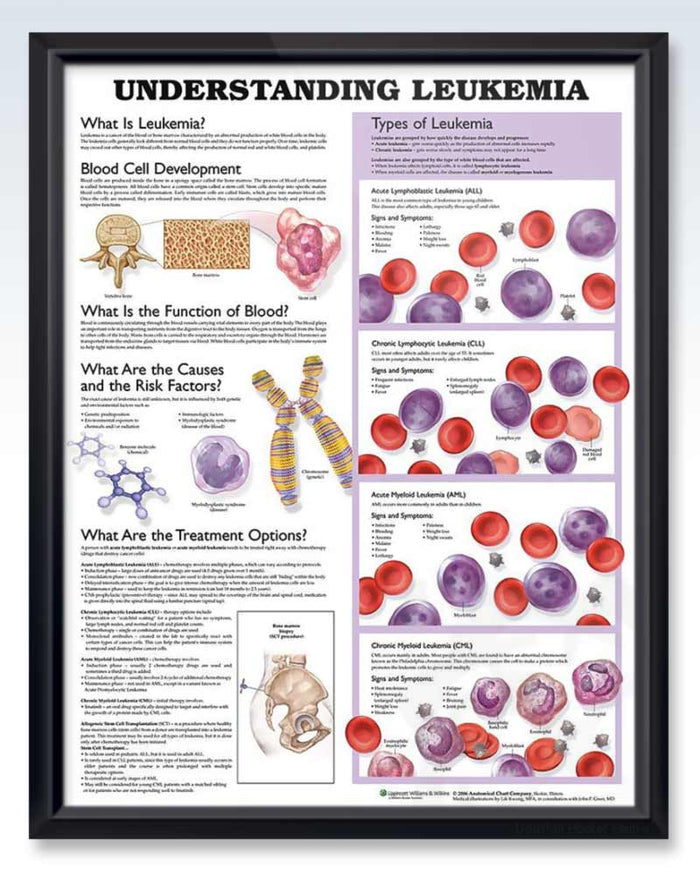 Medical Human Body Anatomy Posters – ClinicalPosters