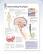 Meningitis Exam-Room Anatomy Poster | ClinicalPosters