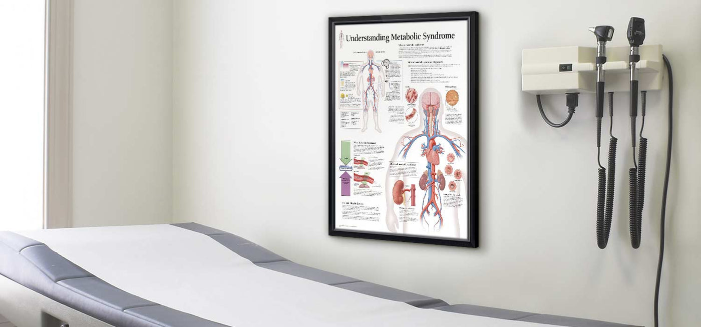 Metabolic Syndrome Exam-Room Anatomy Poster | ClinicalPosters