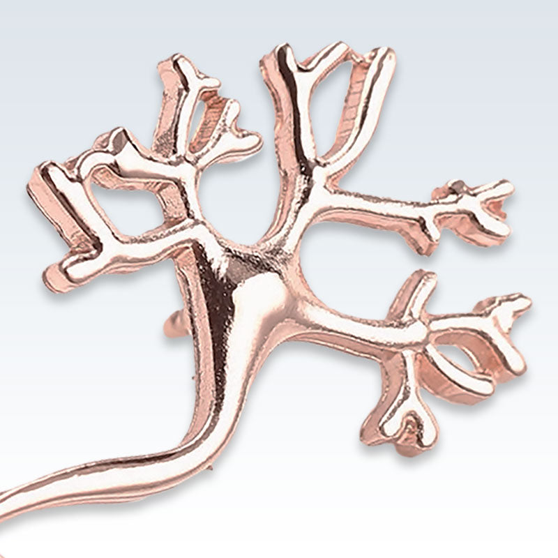 Neuron Anatomy Rose Gold Lapel Pin | ClinicalPosters