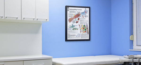 Understanding Nutrition Exam-Room Anatomy Poster | ClinicalPosters