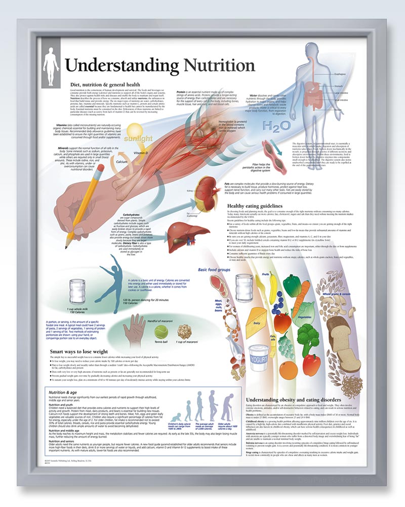 Understanding Nutrition Exam-Room Anatomy Poster | ClinicalPosters