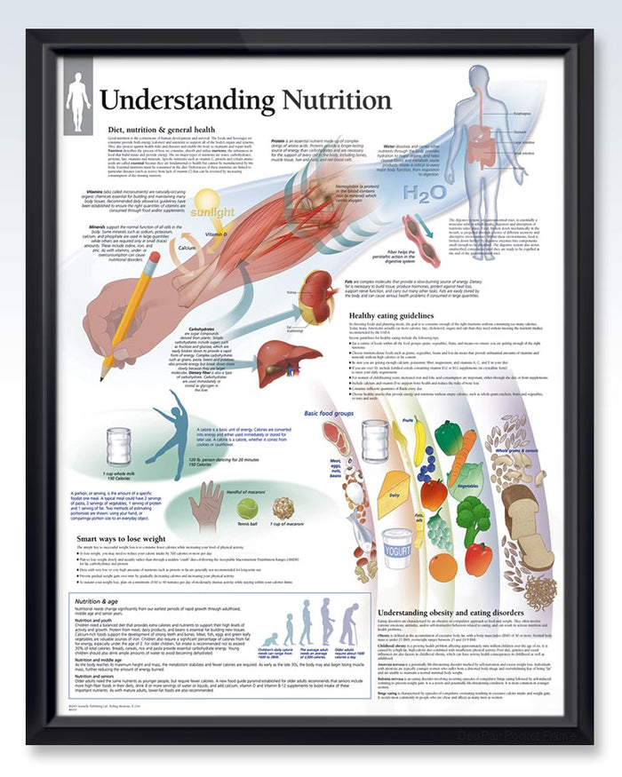 Understanding Nutrition Exam-Room Anatomy Poster | ClinicalPosters