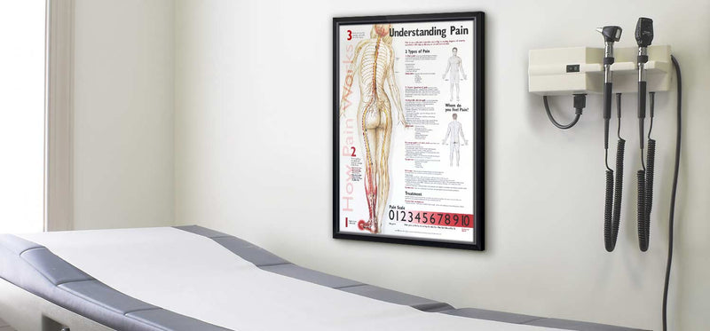 Understanding Pain Discount Poster | ClinicalPosters
