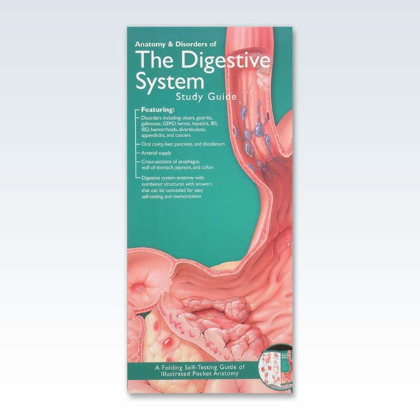 The Digestive System Study Guide (2E) 4x9 | ClinicalPosters