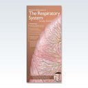 The Respiratory System Study Guide (2E) 4x9 | ClinicalPosters