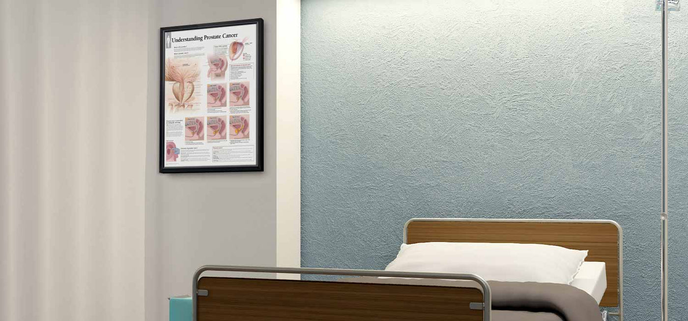 Prostate Cancer Exam-Room Anatomy Posters | ClinicalPosters