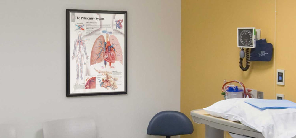 Pulmonary System Exam-Room Anatomy Posters | ClinicalPosters
