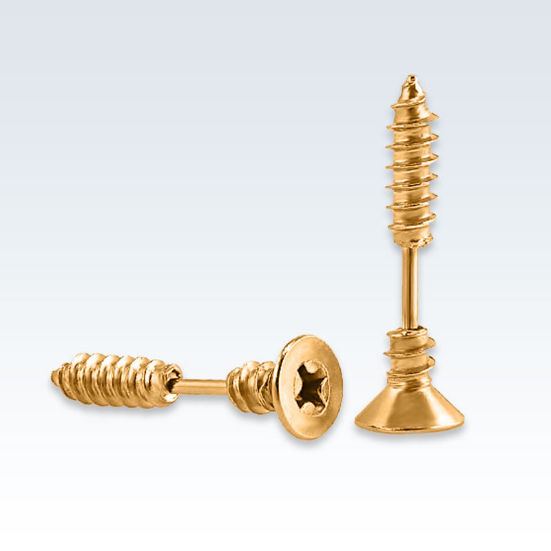 Stainless Steel Screw Gold Earrings | ClinicalPosters