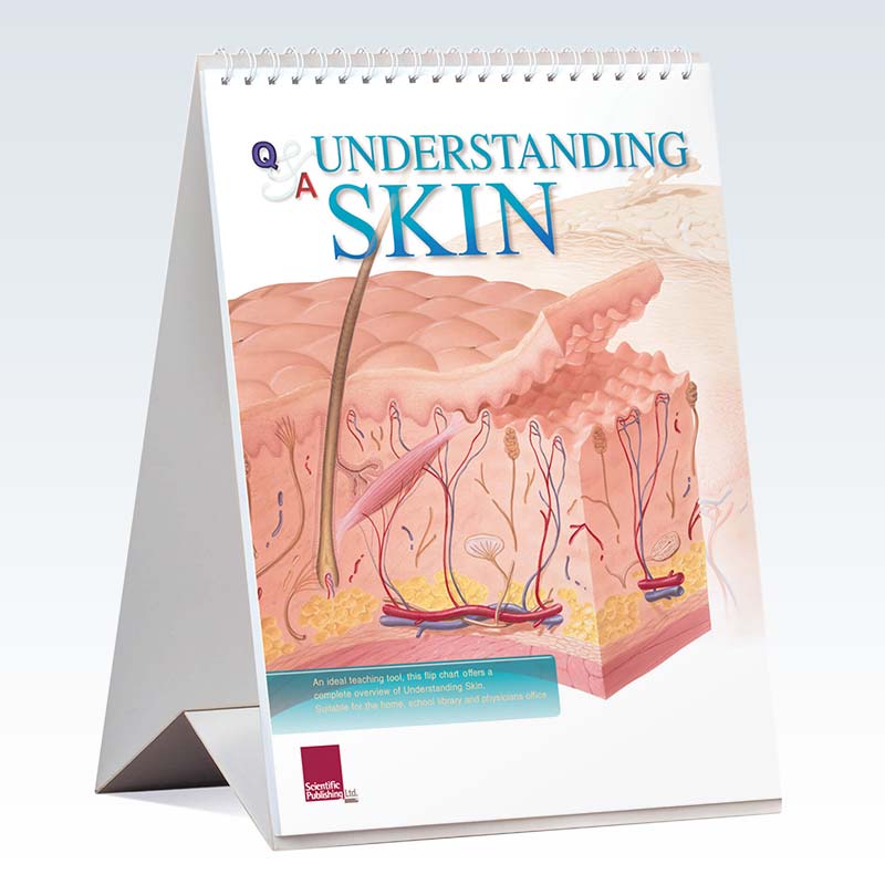 Understanding Skin Flip Chart 11x14 | ClinicalPosters