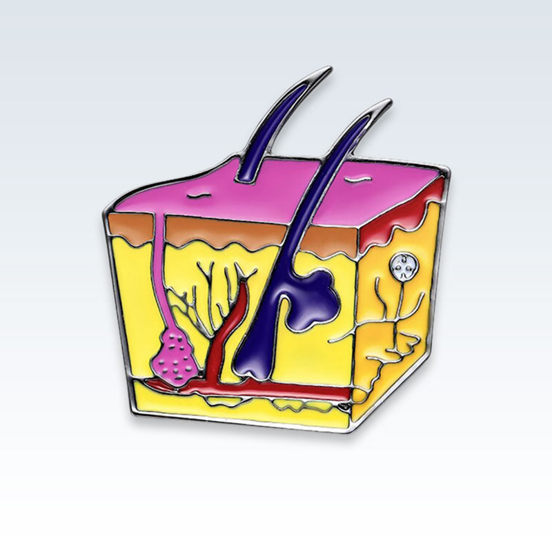 Dermatologists Skin Anatomy Lapel Pin | ClinicalPosters