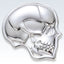 Neurologists Skull Anatomy Lapel Pin | ClinicalPosters