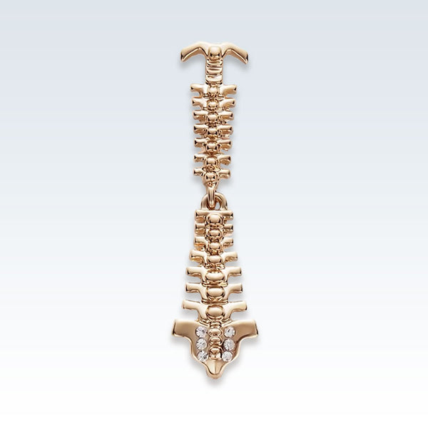 Orthopedic Spine Anatomy Gold Lapel Pin | ClinicalPosters