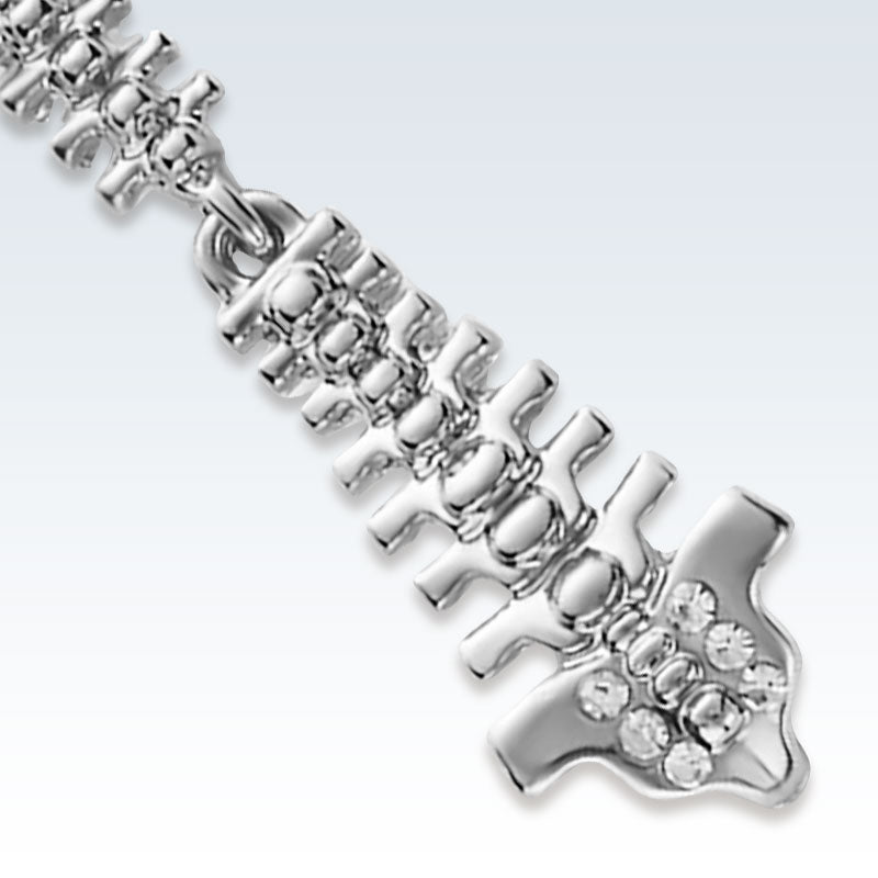 Orthopedic Spine Anatomy Silver Lapel Pin | ClinicalPosters