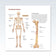 Systems of the Human Body Spiral Flip Chart | ClinicalPosters