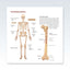 Systems of the Human Body Spiral Flip Chart | ClinicalPosters