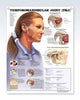 Laminated TMJ Exam Room Poster | ClinicalPosters