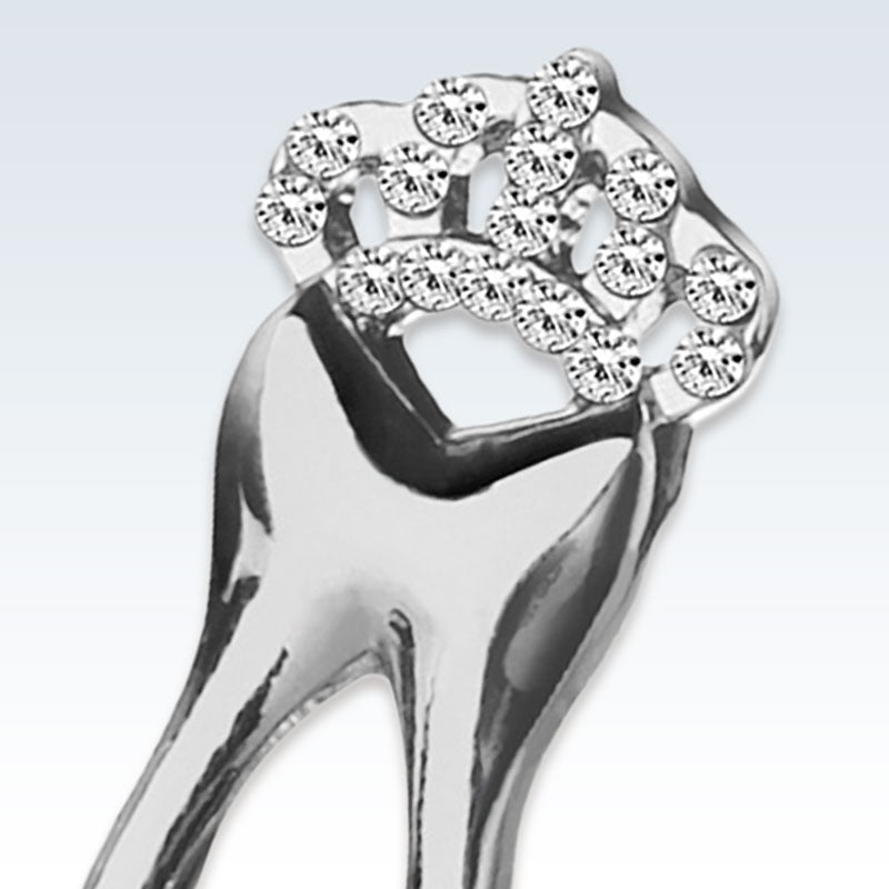 Dentists Silver Jeweled Tooth Lapel Pin | ClinicalPosters