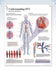 Understanding DVT Exam-Room Anatomy Poster | ClinicalPosters