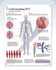 Understanding DVT Exam-Room Anatomy Poster – ClinicalPosters