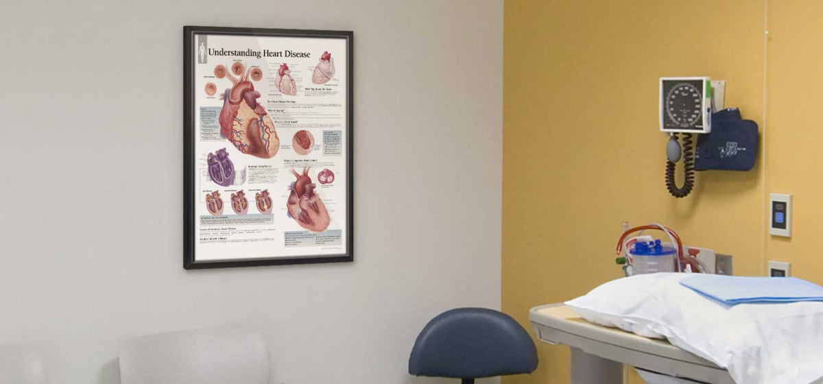 Heart Disease Exam-Room Anatomy Posters | ClinicalPosters